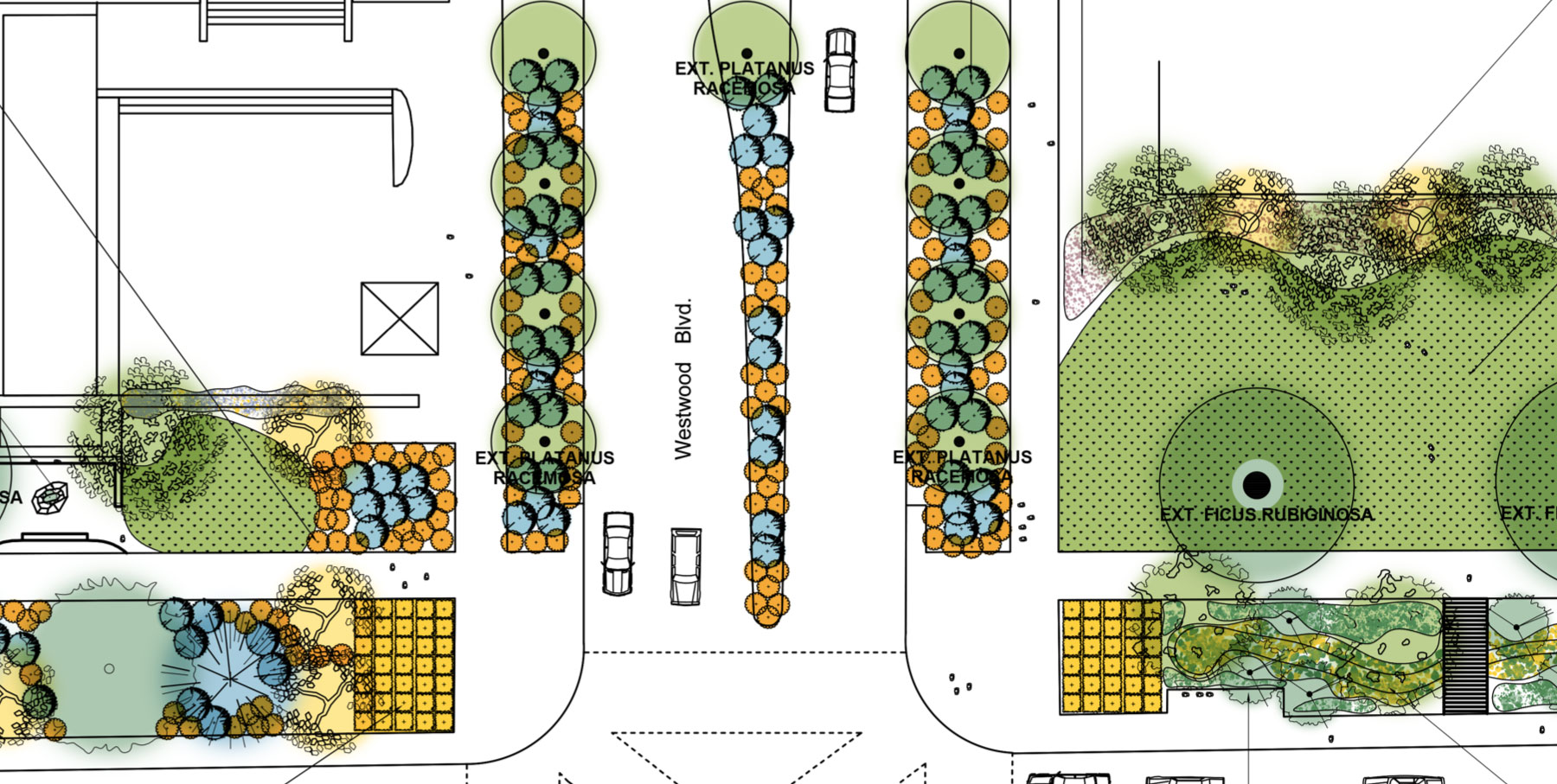 Landscape Design 5 : Instructor: Stephen Davis, ASLA
